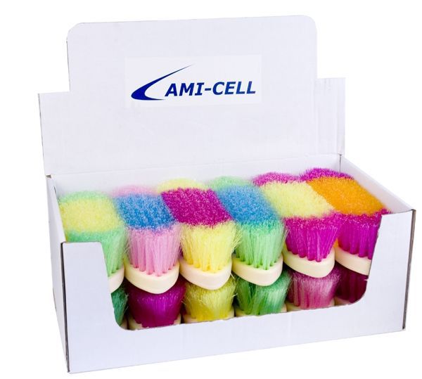 Partrade Rainbow Dandy Brush 6 - StateLineTack.com