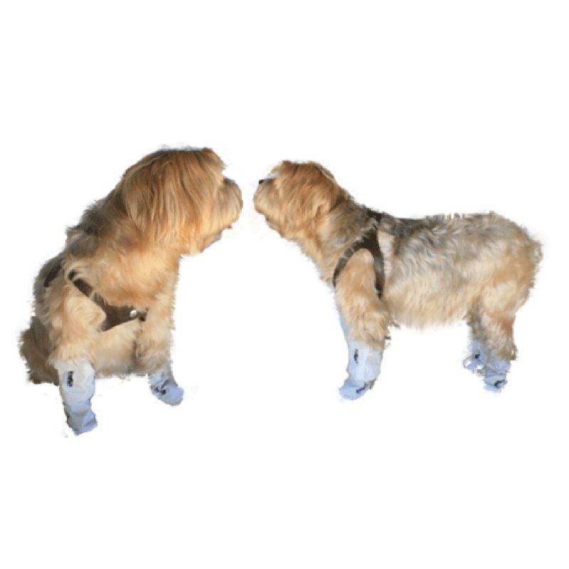 Multi Use Veterinary Dog Booties 8pk - StateLineTack.com - StableSteals