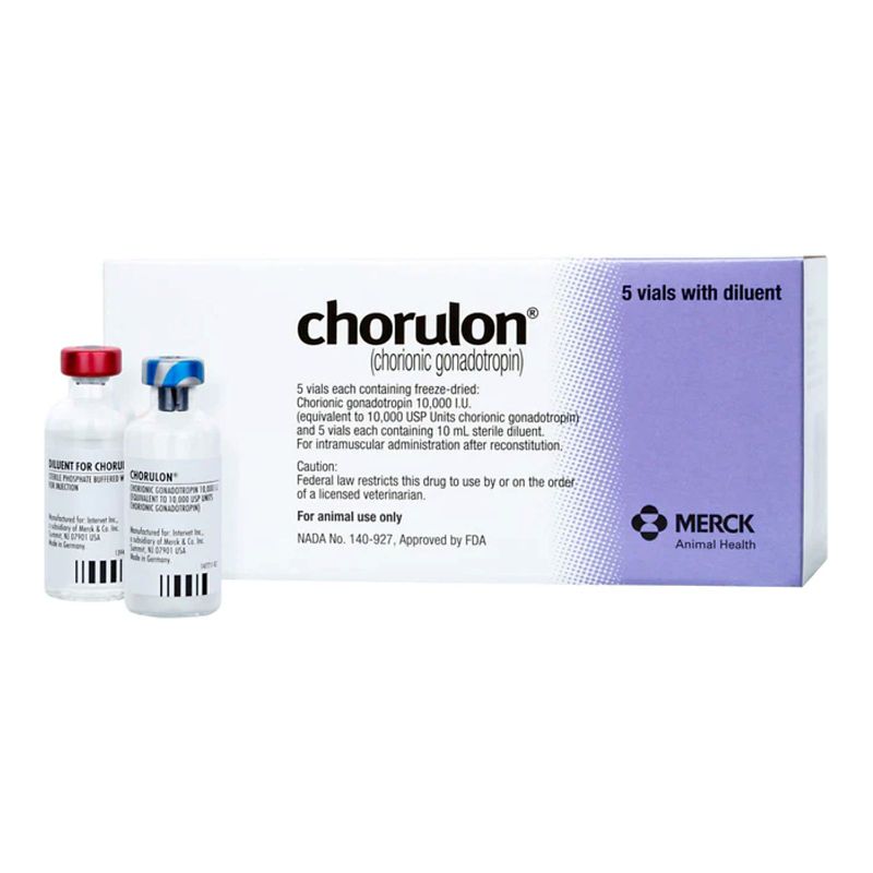 RX Chorulon for Cattle - KVSupply.com