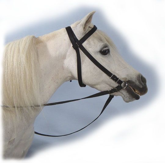 Weavers Tack Pony Nylon Bridle ns - StateLineTack.com
