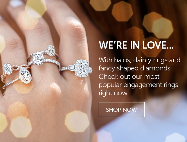The Engagement Ring Store Robbins Brothers