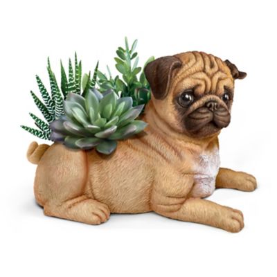 Pug Planter With Always In Bloom Succulents