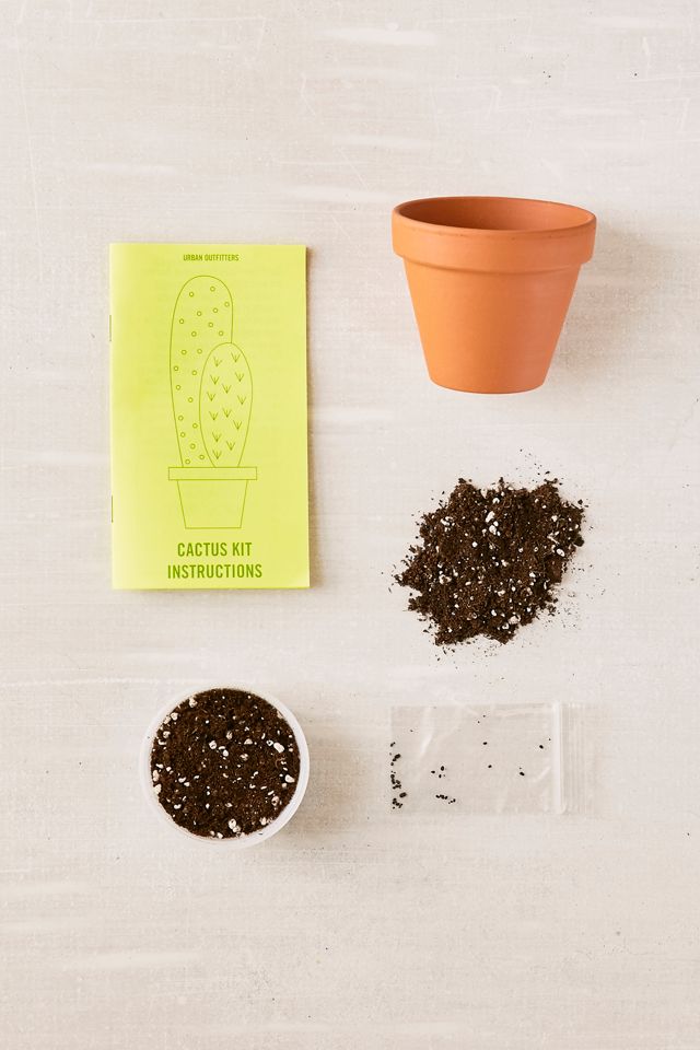 Grow Your Own Cactus Plant Kit | Urban Outfitters