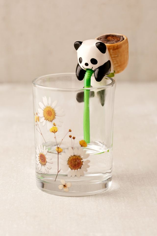 Chuppon Panda Self Watering Basil Planter | Urban Outfitters