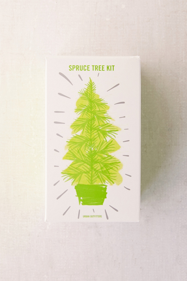 Grow Your Own Spruce Tree Kit | Urban Outfitters