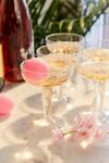 Prosecco Pong Game | Urban Outfitters