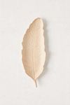 Glazed Feather Catch-All Dish | Urban Outfitters