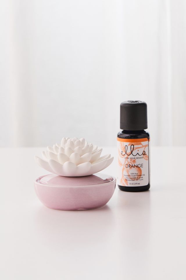 Succulent Essential Oil Diffuser | Urban Outfitters