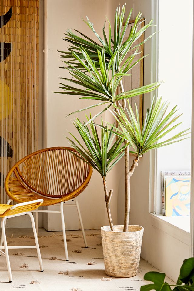 Yucca 6’ Potted Faux Tree | Urban Outfitters