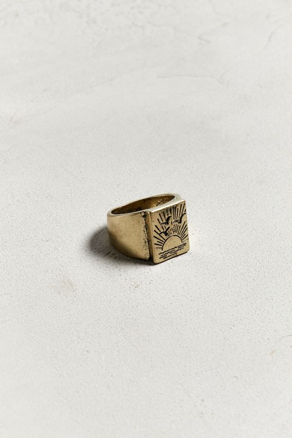 Icon Brand One Fine Day Signet Ring | Urban Outfitters