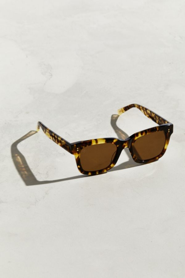 Raen Polarized Gilman Sunglasses Urban Outfitters
