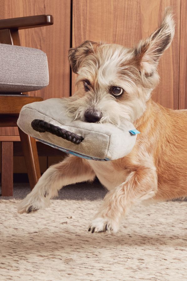 BARK Pup Up The Volume Boombox Dog Toy | Urban Outfitters