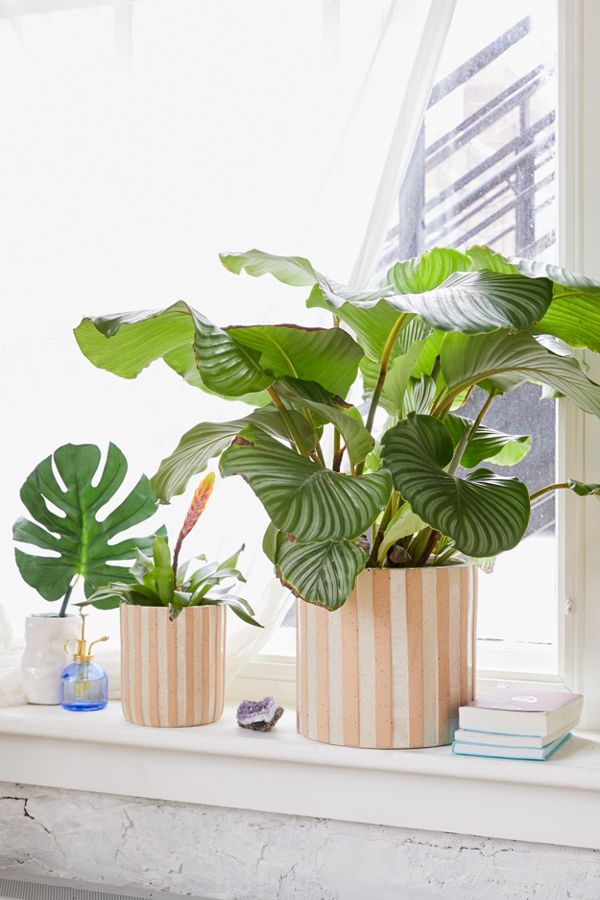 Textured Stripe 10” Planter | Urban Outfitters