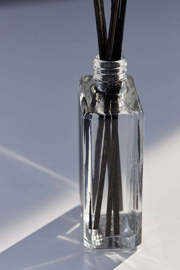 Zodiac Element Reed Diffuser | Urban Outfitters Canada