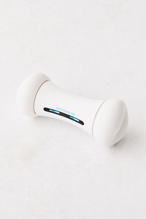 Cheerble Wickedbone Dog Toy | Urban Outfitters