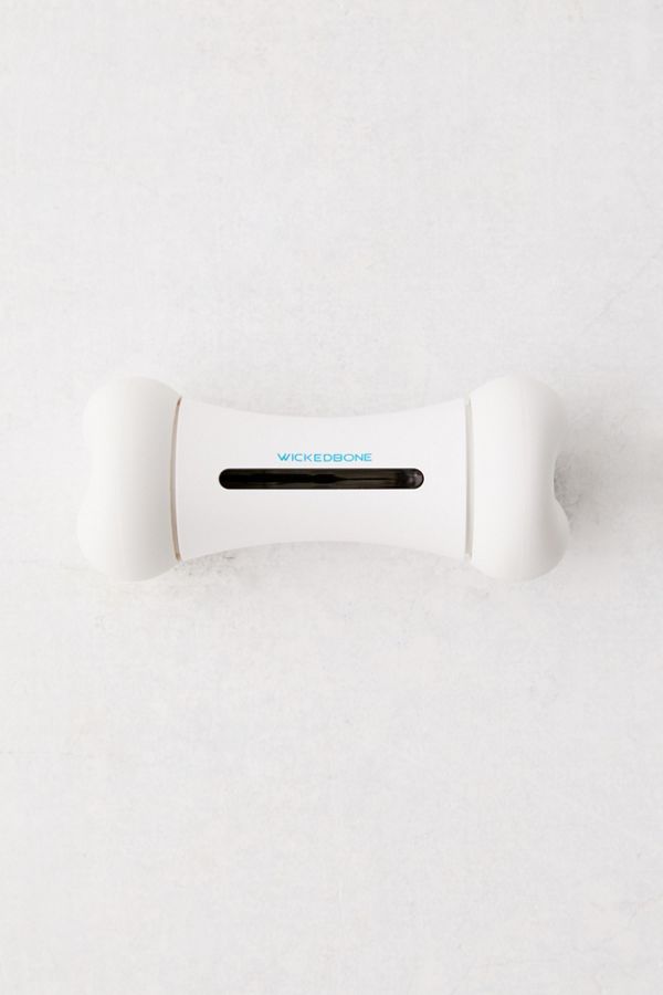 Cheerble Wickedbone Dog Toy | Urban Outfitters