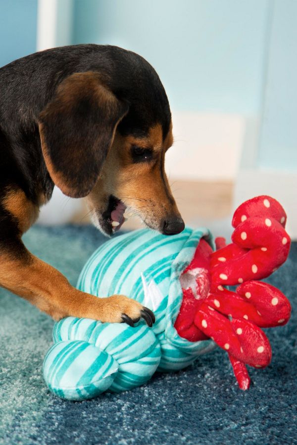 BARK Homer Hermit Crab Dog Toy | Urban Outfitters