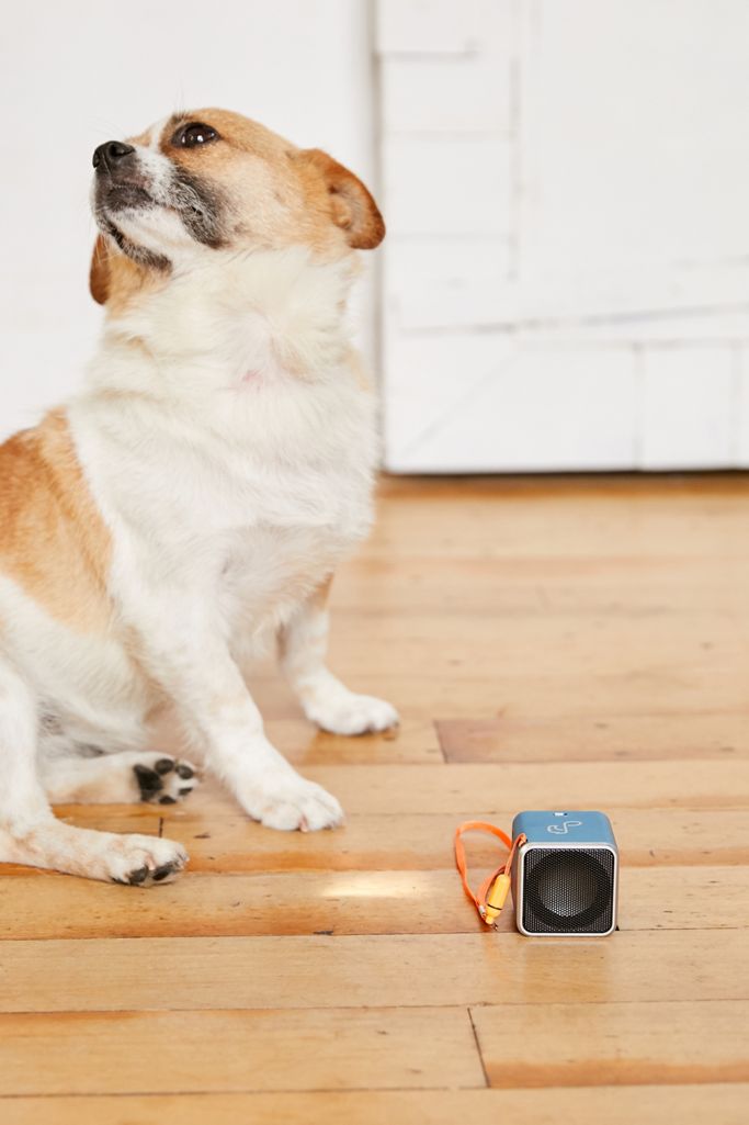 Pet Acoustics Pet Tunes Bluetooth Speaker | Urban Outfitters