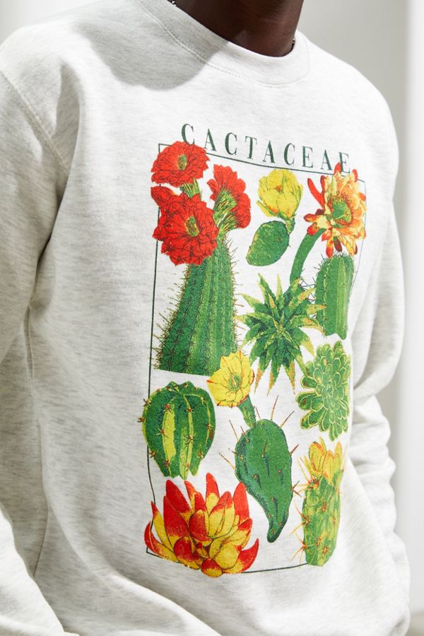 Cactus Crew Neck Sweatshirt | Urban Outfitters