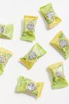 Tea Drops Matcha Green Tea Box | Urban Outfitters