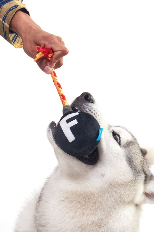 BARK F-Bomb Dog Toy | Urban Outfitters