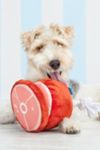 BARK Wham Bam Ham Dog Toy | Urban Outfitters