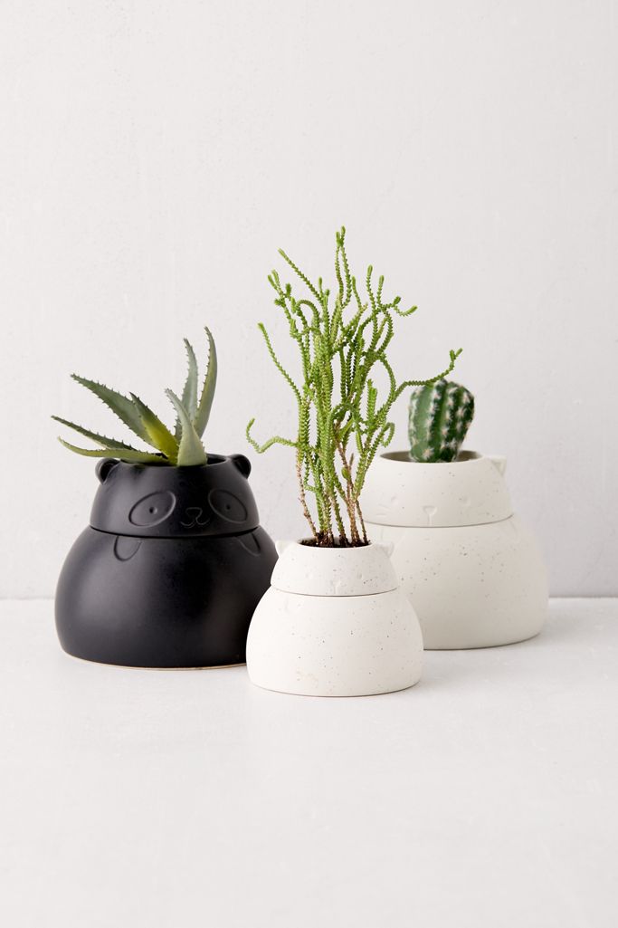 Hideaway Panda Storage Planter | Urban Outfitters