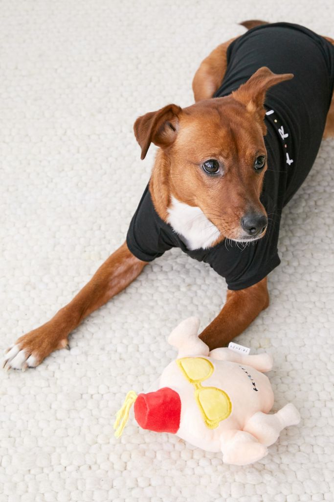 Friends Central Perk Dog Toy | Urban Outfitters