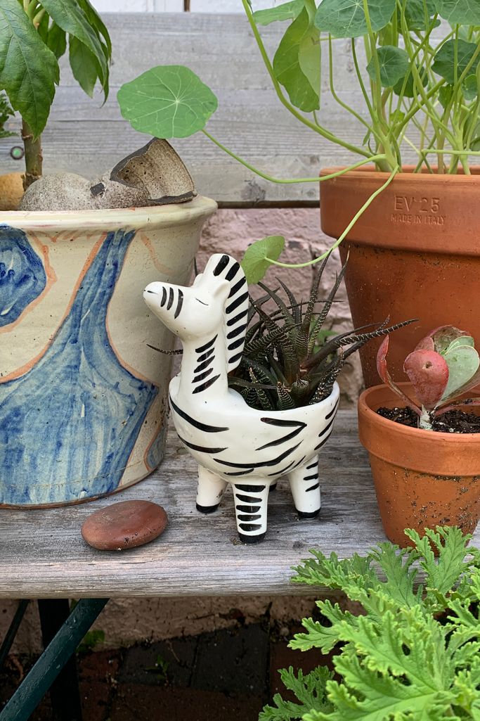 Zebra Shaped Planter | Urban Outfitters