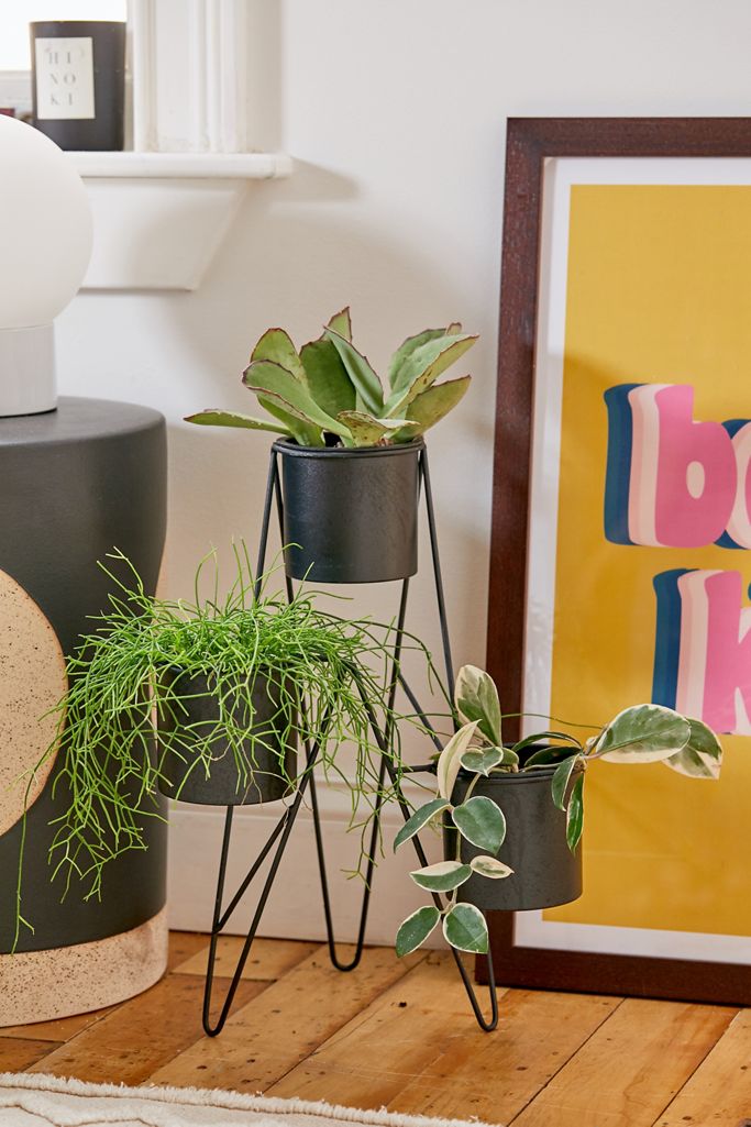 Donahue Trio Planter | Urban Outfitters Canada