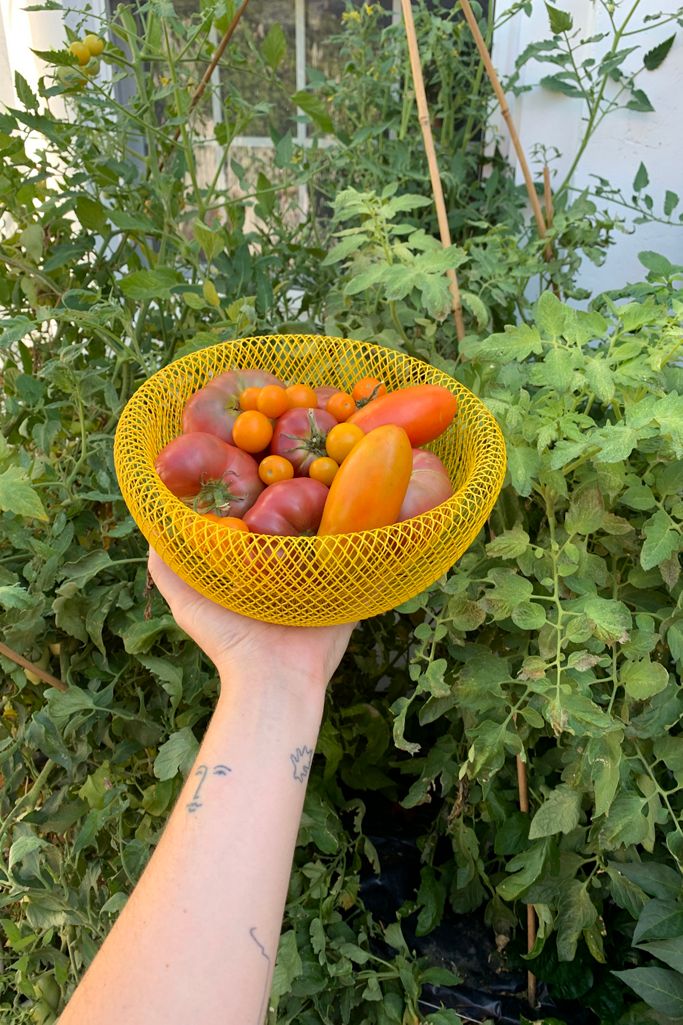 MoMA Wire Mesh Bowl | Urban Outfitters Canada