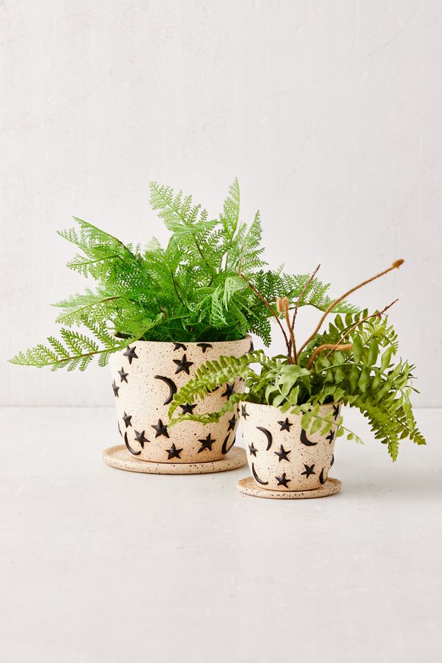 Estrella Planter And Tray | Urban Outfitters Canada