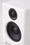 Audioengine A2+ Wireless Bluetooth Speaker Set | Urban Outfitters