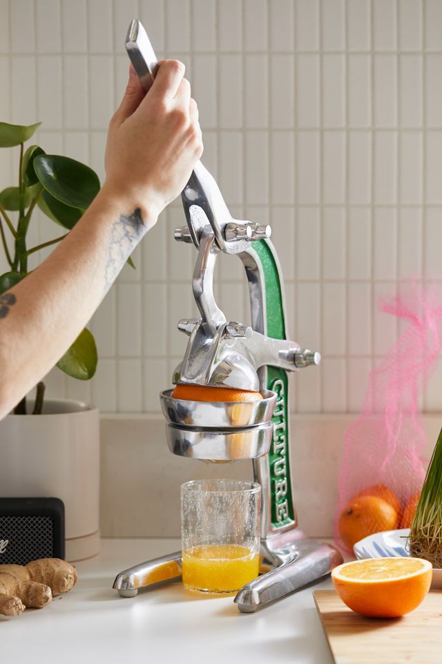 Artisan Standing Juicer | Urban Outfitters