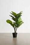 Potted Rubber Tree Faux Plant | Urban Outfitters