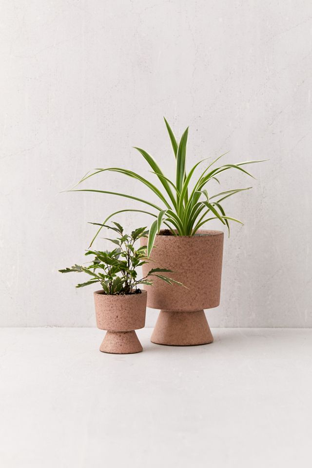 Ceramic Flared Base Planter | Urban Outfitters