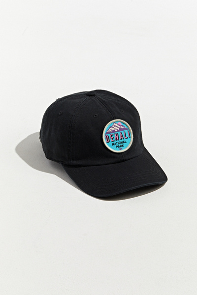 American Needle Denali National Park Baseball Hat | Urban Outfitters