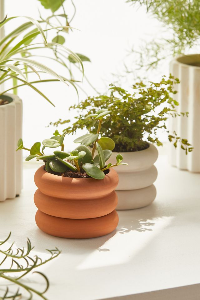 Areaware Mini Stacking Planter | Urban Outfitters