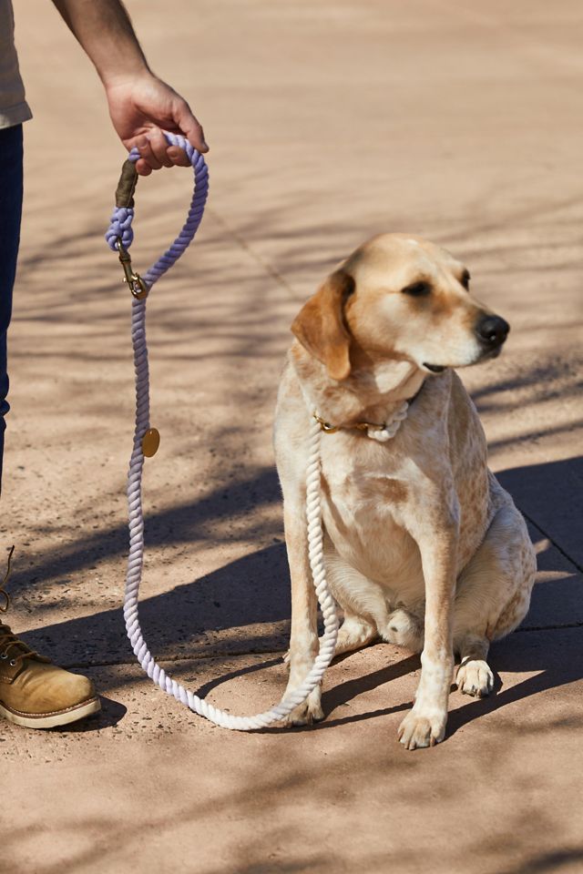 Found My Animal Rope Dog Leash | Urban Outfitters