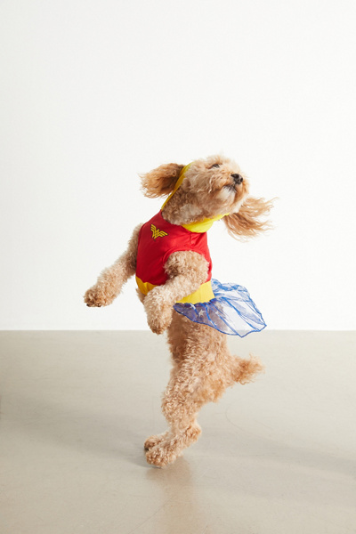 DC Comics Wonder Woman Dog Halloween Costume | Urban Outfitters