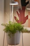 Modern Sprout Uplift Planter, Stand And Grow Light | Urban Outfitters