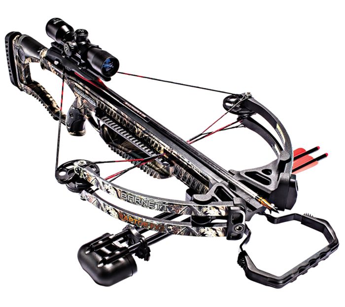 Raptor Compound Bow