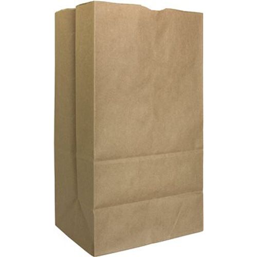AJM Packaging SQ40NP5C Kraft Paper 20 lb. Grocery Bag - 500 / CS ...