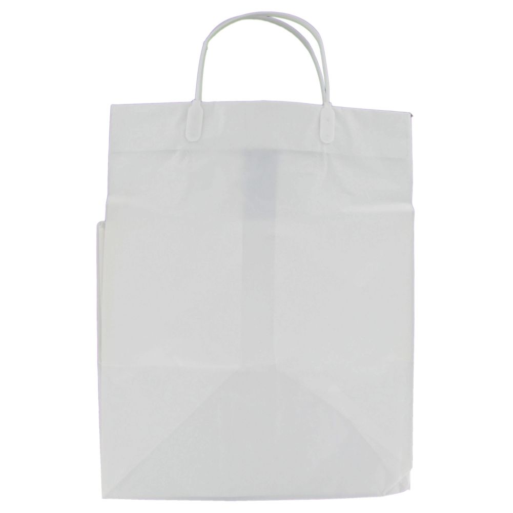 Command Packaging F10IR White 10" x 9" x 13" Carry-Out Bag - 250 / CS ...