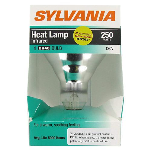 Hatco WHITE-CTD-120 Clear Coated 250W Heat Lamp Bulb | Wasserstrom